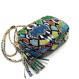 Girls Womens Leopard Print PU Leather Fur Round Square Crossbody Bag Purse (Square - Multicolor Snake Print)