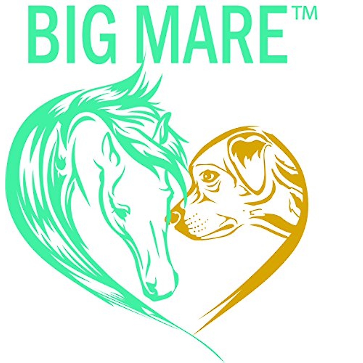 Big Mare Horse Thrush Spray | Clinically Proven Effective On Thrush. No Sting, No Stain Formulation. Veterinary Approved & Recommended.