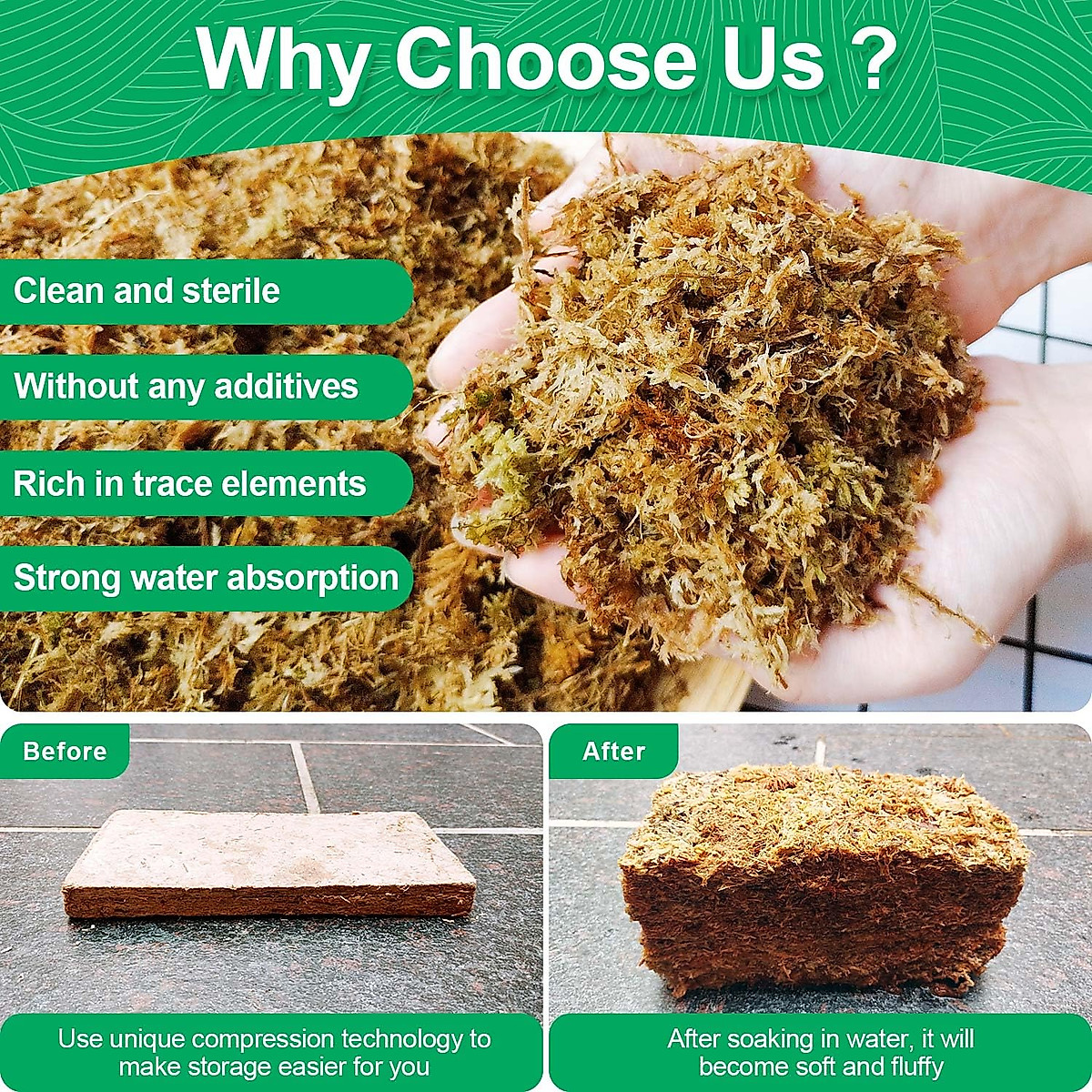 Mostopiaryart Sphagnum Moss Perfect for Plant Propagation, Extremely Strong Water Absorption Ability, Help with Maintain Humidity(3.5OZ)