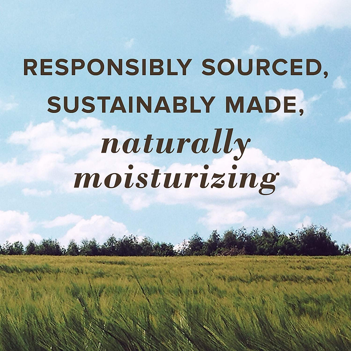 Burt's Bees Lip Balm Easter Basket Stuffers, Moisturizing Lip Care Spring Gift for Women, for All Day Hydration, 100% Natural, Ultra Conditioning with Shea, Cocoa & Kokum Butter