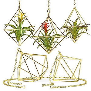 Air Plant Holders w/Hooks & Chains - Indoor Air Plants and Holders Sets, Freestanding & Wall Hanging Planters - 5 Geometric Shapes Air Plant Holder - Hanging Air Plant Holder