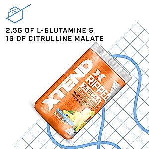 XTEND Ripped BCAA Powder Blueberry Lemonade | Cutting Formula + Sugar Free Post Workout Muscle Recovery Drink with Amino Acids | 7g BCAAs for Men & Women | 30 Servings