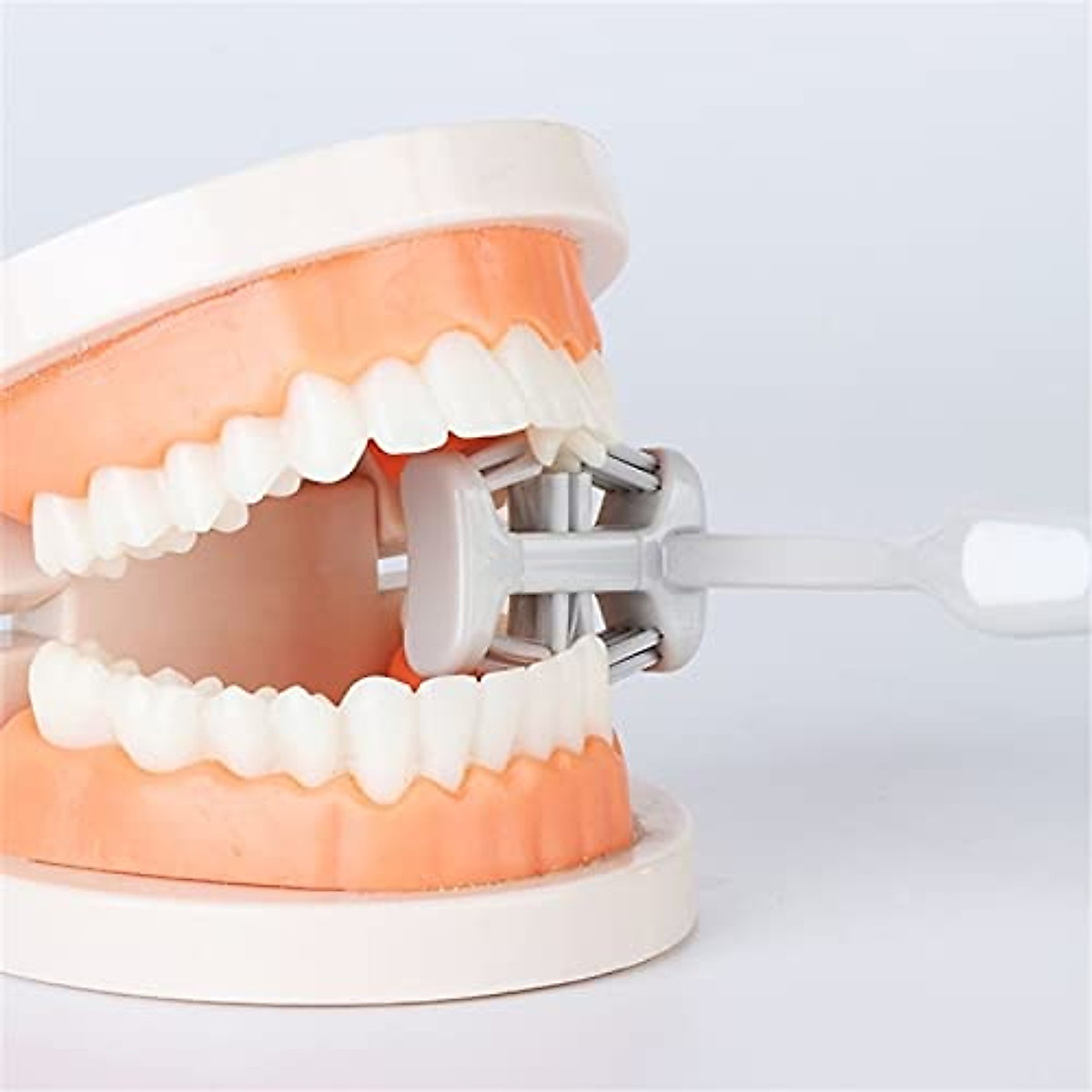 SDFSDFSF Six Face Toothbrush for Tooth Protection, Powerful Cleaning, Removing Tooth Stains, Smoke Stains, Tooth Stones, Three Face Adult Manual Soft Hair (White)