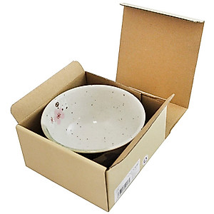 Studio Ghibli - My Neighbor Totoro - Sakura/Cherry Blossom, Skater Traditional Japanese Porcelain Dish Series - Small Rice Bowl