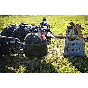 Scratch and Peck Feeds Premium Organic Turkey Grower with Corn - 40-lbs - Non-GMO Project Verified and Certified Organic