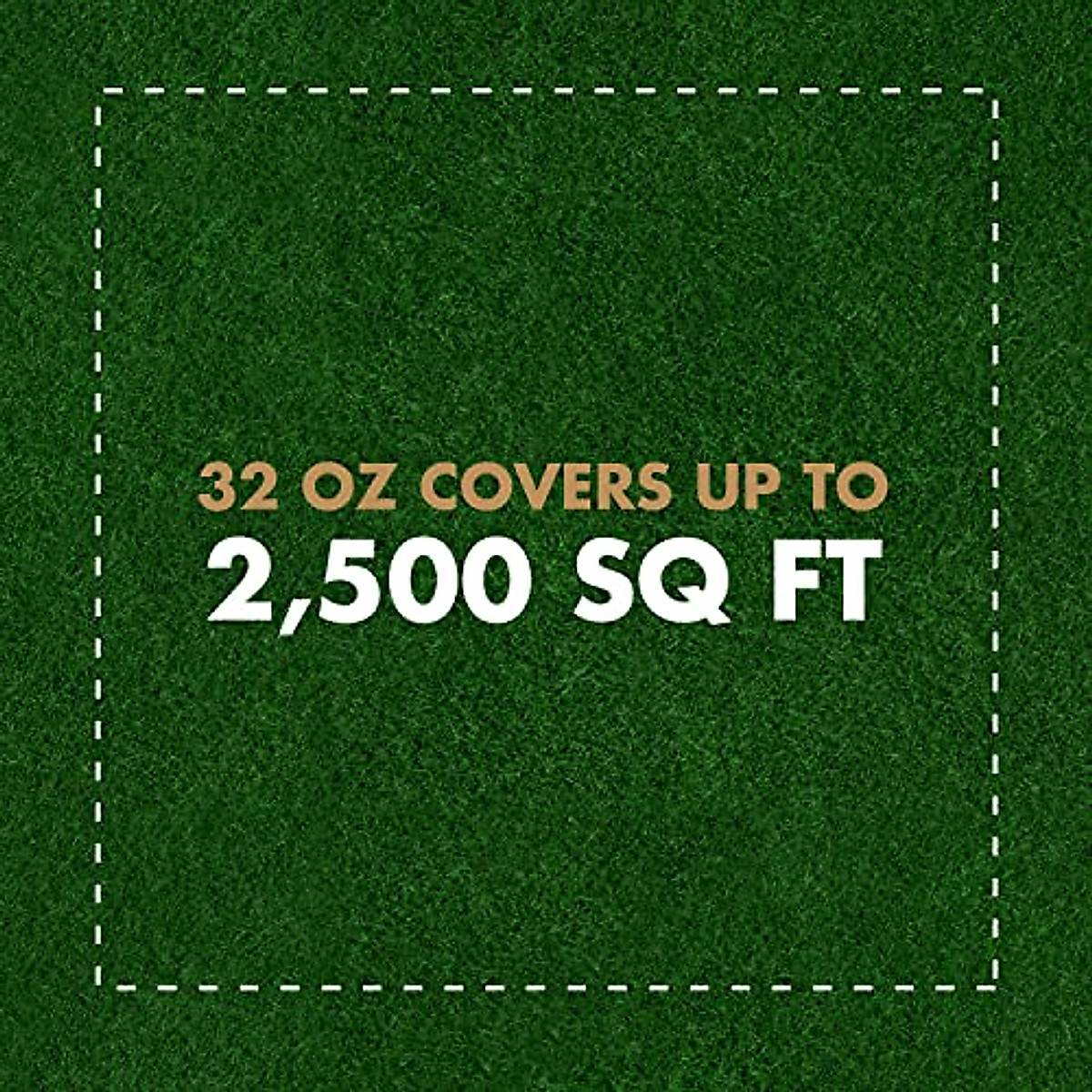 Spectracide Immunox Fungus Plus Insect, 1 Pack