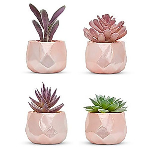 Nordik Set of 4 Desk Plants in Rose Gold - Office Decor for Women, Indoor, Living Room, Bedroom, Home and Desk Decor – Pink Faux Succulents Geometric Ceramic Planters