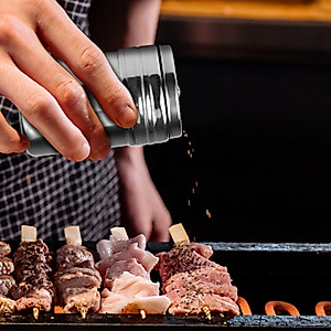 EZYoutdoor 6Pcs Stainless Steel Spice Shaker, Camping Spice Kit with Travel Bag, Salt and Pepper Shakers Set For Salt Sugar Spice Dry Herb Spice, for Home or Outdoor Use