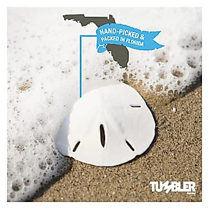 White Sand Dollars 2.5"-3" - 10pcs - Wedding Seashell Craft - Hand Picked and Professionally Packed by Tumbler Home