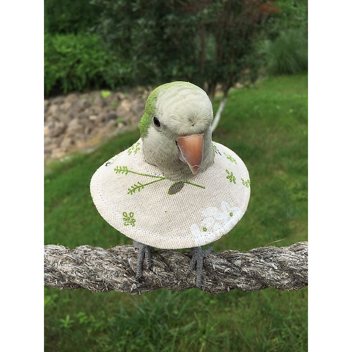 Bird Collars,Adjustable Recovery Collar Parrot Elizabeth Collar for Feather Plucking Feather Protector Shield with Soft Padded Cotton Neck Cone Anti-bite Anti-Licking Wound Healing (5XL,Flower)