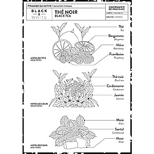 Compagnie de Provence - Liquid Soap and Luxury Hand Cream - Black Tea