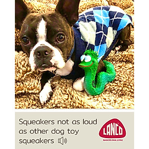 Smiley Snake Sensory Squeaky Rubber Dog Toy for Small & Medium Dogs (Green) Natural Rubber (Latex) Lead Chemical-Free Soft Unstuffed