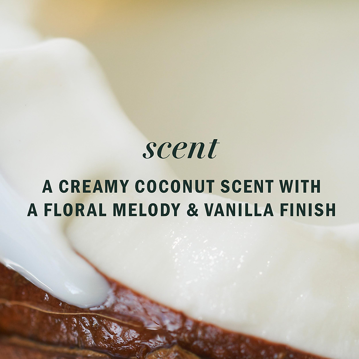 Herbal Essences bio:renew Coconut Milk Hydrating Conditioner, 13.5 fl oz