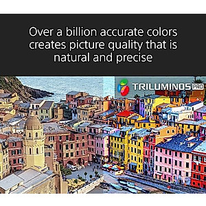 Sony 55 Inch 4K Ultra HD TV X80K Series: LED Smart Google TV with Dolby Vision HDR KD55X80K- 2022 Model (Renewed)