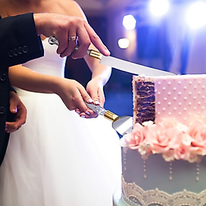 4 Pieces Wedding Toasting Flutes and Cake Server Set Wedding Reception Supplies Champagne Glasses Cake Knife Pie Server (Gold,Classic)