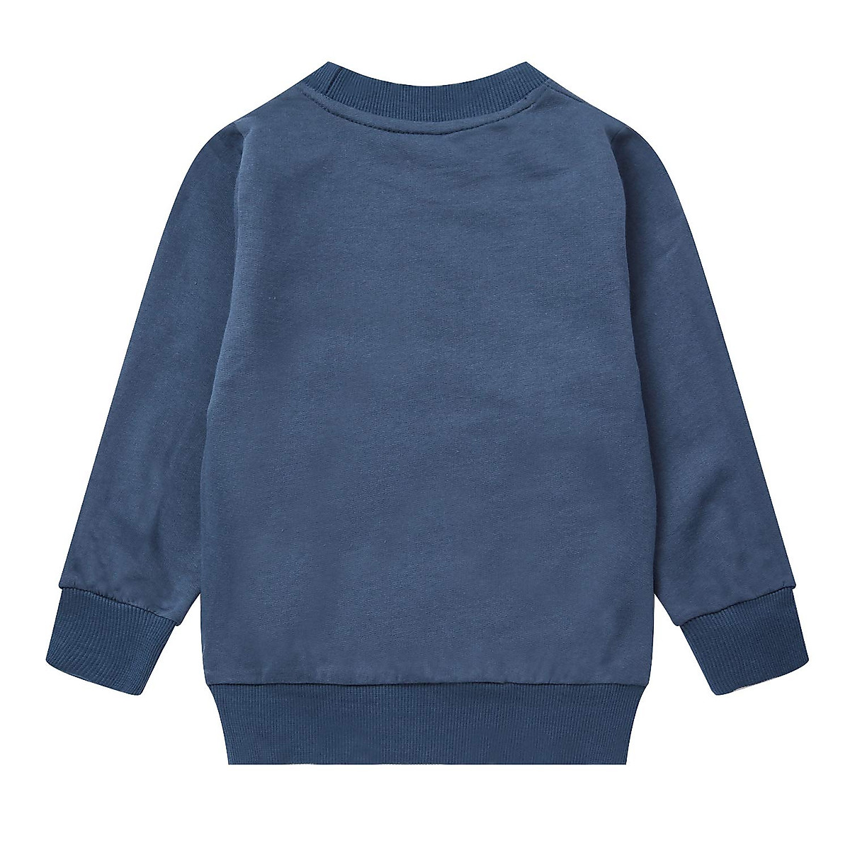 Akyzic Boy Dinosaur Sweatshirts Toddler Long Sleeve Cotton Pullover Cartoon T-Shirts Sport Top Tee For Kids 2-7T dinosaur3-8009-4T