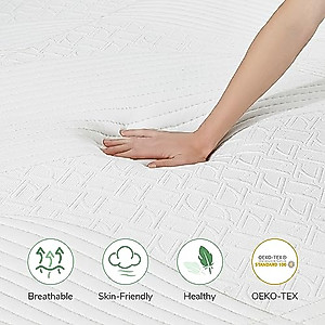 Novilla Queen Mattress, Memory Foam Mattress Queen Size 6 Inch, Cooling Queen Size Mattress in a Box for Back Pain Relief, Medium Firm Mattress with Edge Support & Motion Isolation, Ataraxia