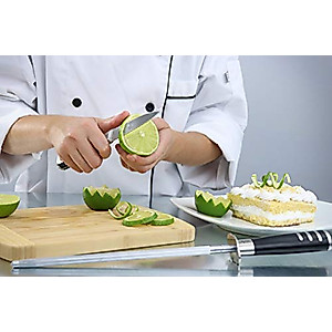 Professional Honing Steel (10” or 12”), Magnetized for Safety, No Rust, No Cheap Plastic! Noble’s Knife Sharpener Has an Oval Handle for a Firm Grip and is Built For Daily Use, Perfect for Chefs!