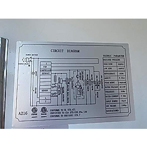Commercial Freezer 2-Doors Solid Upright Reach in Two Section Stainless Steel NSF 54" Width, Capacity 47Cuft, Restaurant Quality Kitchen -8°F Cold al32Adup1