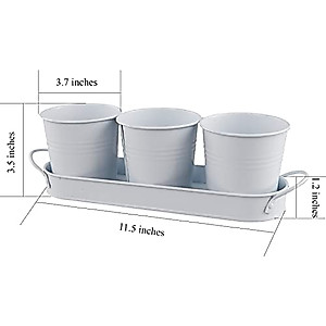 Herb Garden Planter Set – 3-Pcs Set Galvanized Metal Herb Planters for Indoors Plants with Tray – Indoor Plant Pots for Apartment Window, Balcony, Garden – Potting Pots for Herbs and Flowers