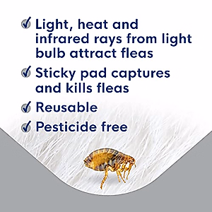 Enoz Trap-N-Kill Indoor Flea Trap with Lightbulb and Sticky Capture Pad, Nontoxic, Made in USA