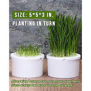 BENPIN 2Pcs Hydroponic Cat Grass Planter (no Seeds Included), Soil Free, No Dirt No Mess No Smell, Anti Digging Design, Easy to Plant Cat Grass Kit, Cat Grass for Indoor Cats Pets (Matte White)