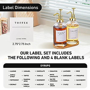 Coffee Syrup Dispenser for Coffee Bar, Coffee Syrup Pump Dispenser, Glass Syrup Bottle with Gold Upgraded Pump, 2 Pack 16.9 oz 500 ml Syrup Dispensers, 28 Labels and Bamboo Tray