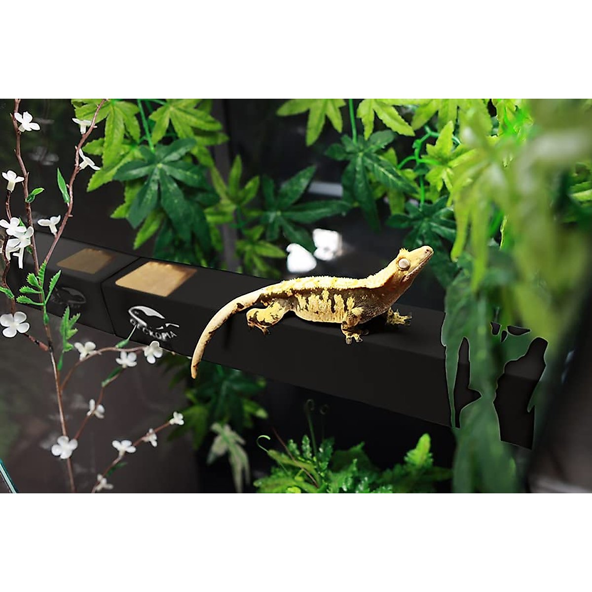 GECKOPIA Reptile Flex Bridge| Reptile Bridge | Gecko Bridge | Gecko Ledge | Reptile Vine | Reptile Terrarium Decoration | Reptile Branch Alternative (Black)