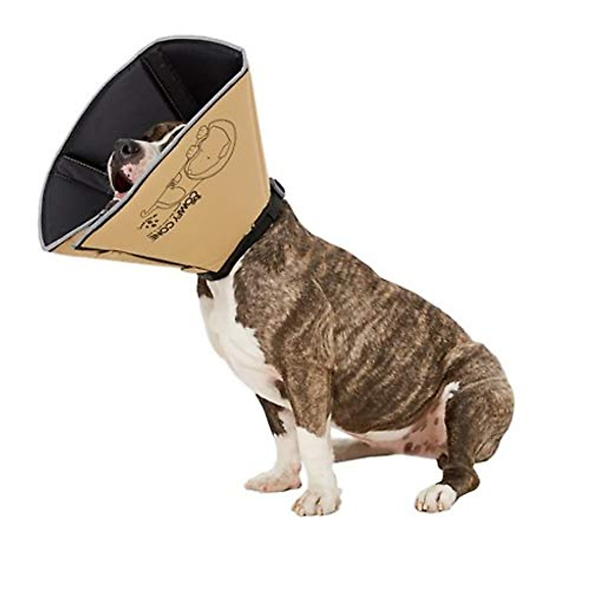 All Four Paws Comfy Cone Pet Cone for Dogs, Cats, Large, Tan - Comfortable Soft Dog Cone Collar Alternative for After Surgery, Wound Care, Spay, Neuter - Dog and Cat Recovery Collar