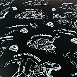 DINORY Scratch Art for Kids & Adults, Dinosaur Scratch Set 201 (20 Dinosaurs)