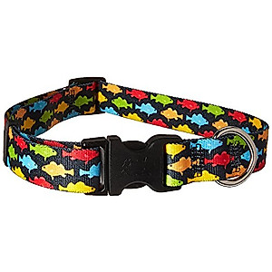 Yellow Dog Design Rainbow Fish Black Dog Collar, Large-1" Wide fits Neck Sizes 18 to 28"