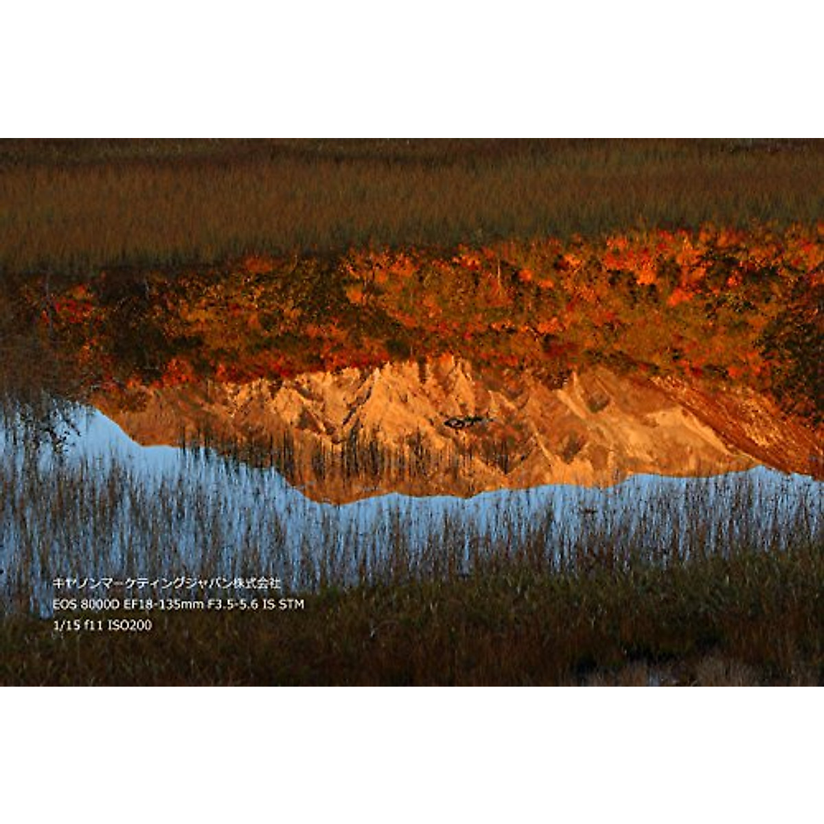 Canon DSLR camera EOS 8000D body 24.2 million pixels EOS8000D [International Version, No Warranty]