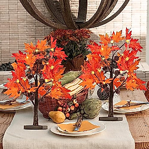 YEAHOME Fall Decorations for Home, 2 Pack 24”/2FT Lighted Fall Maple Leaves Tree with Warm White LEDs Autumn Decor, Pumpkin Lampshade, Pine Cone, Acorn Ornaments Battery Powered Timer for Thanksgiving