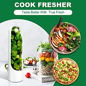 Pilipane Herb Keeper,Herb Savor Fridge Organizer,Herb Storage Container Saver Preserver For Cilantro, Mint, Parsley, Asparagus, Keeps Greens Fresh For 2-3 Weeks