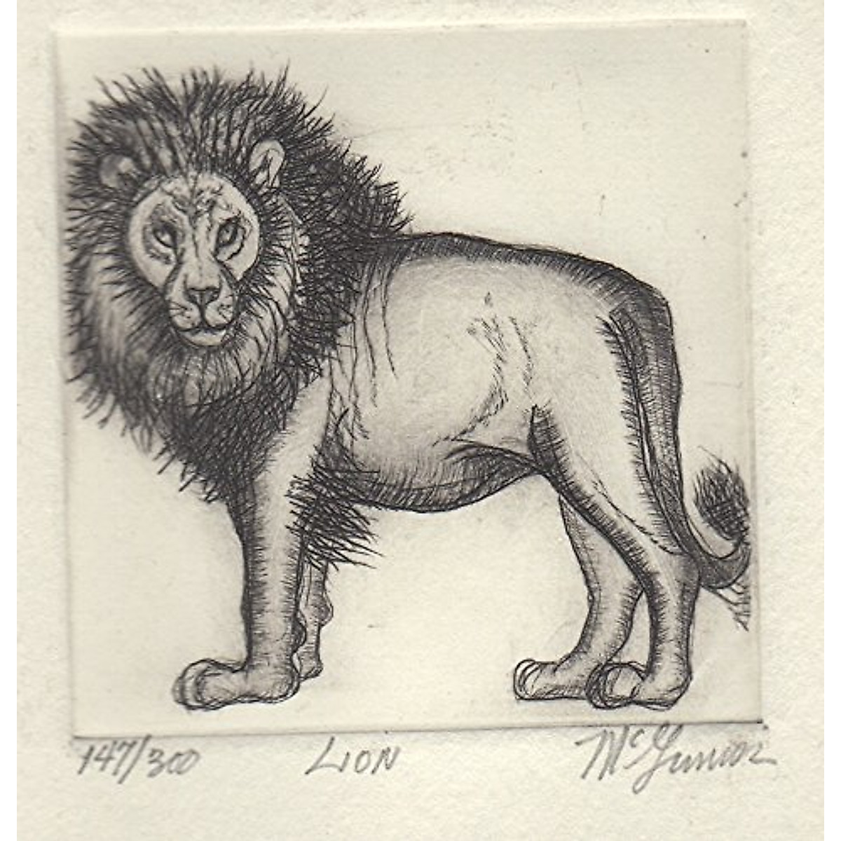 Lion