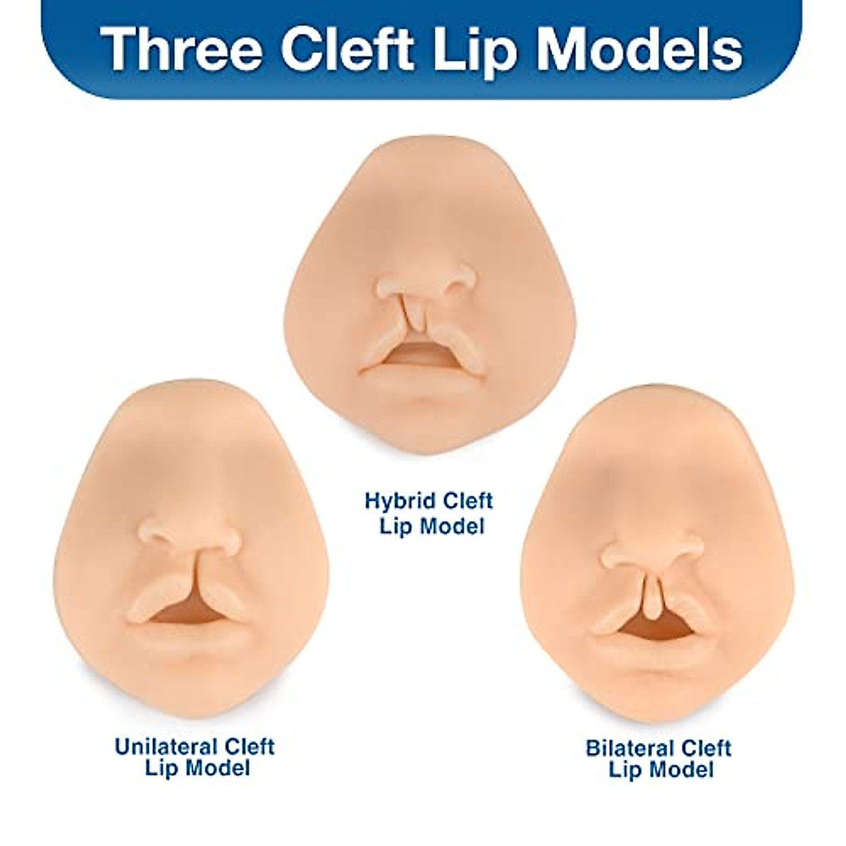 Ultrassist Bilateral Cleft Lip Model, Cleft Lip Suture Training Simulator for Medical Students, Education, Display