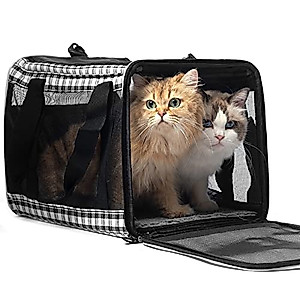 EXPAWLORER Large Cat Carrier for 2 Cats, Soft-Sided Pet Carrier for Cat,Top Load Cat Carriers for Medium Cats Under 25,Airline Approved Pet Travel Bag Fit 2 Kitties Small Dogs