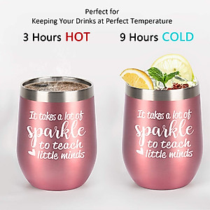 Lifecapido Teacher's Day Gifts, It Takes A Lot of Sparkle to Teach Stainless Steel Wine Tumbler, Birthday Appreciation Teachers Day Thank You Gift for Teacher Tutor Professor Women(12oz, Rose Gold)