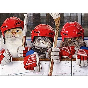 Hockey Cats - Avanti Funny / Humorous Birthday Card