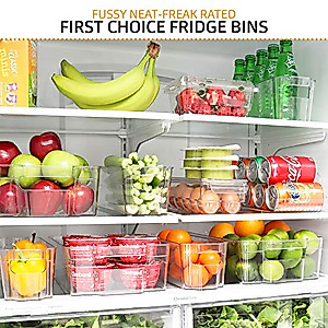 Etienne Alair Fridge Organizer Bins - Set of 16 Clear Bins for Refrigerator, Freezer, Kitchen Cabinets, Pantry, Storage Or Organization - Durable, Stackable Containers with Handles