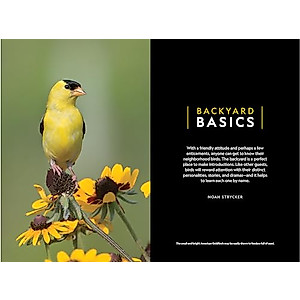 National Geographic Backyard Guide to the Birds of North America, 2nd Edition (National Geographic Backyard Guides)