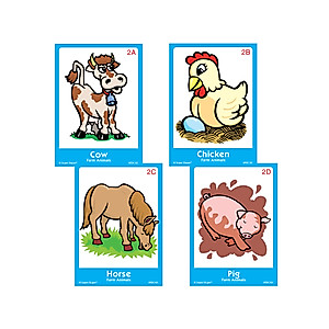 Super Duper Publications | Classifying Fun Deck Flash Cards | Educational Learning Resource for Children