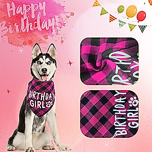 Dog Birthday Party Supplies, Dog Birthday Party Decoration Set, Dog Cute Hat Triangle Scarf Bow Dog Head Banner and Cute Balloon, Used for Dog Birthday Party Decoration (Pink)