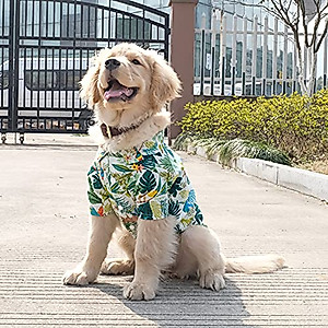 Harikaji Dog Hawaiian Shirt, Summer Pet Clothes Large Dog Cool Costume Beach T-Shirt for Medium Large Dog(White,6XL)