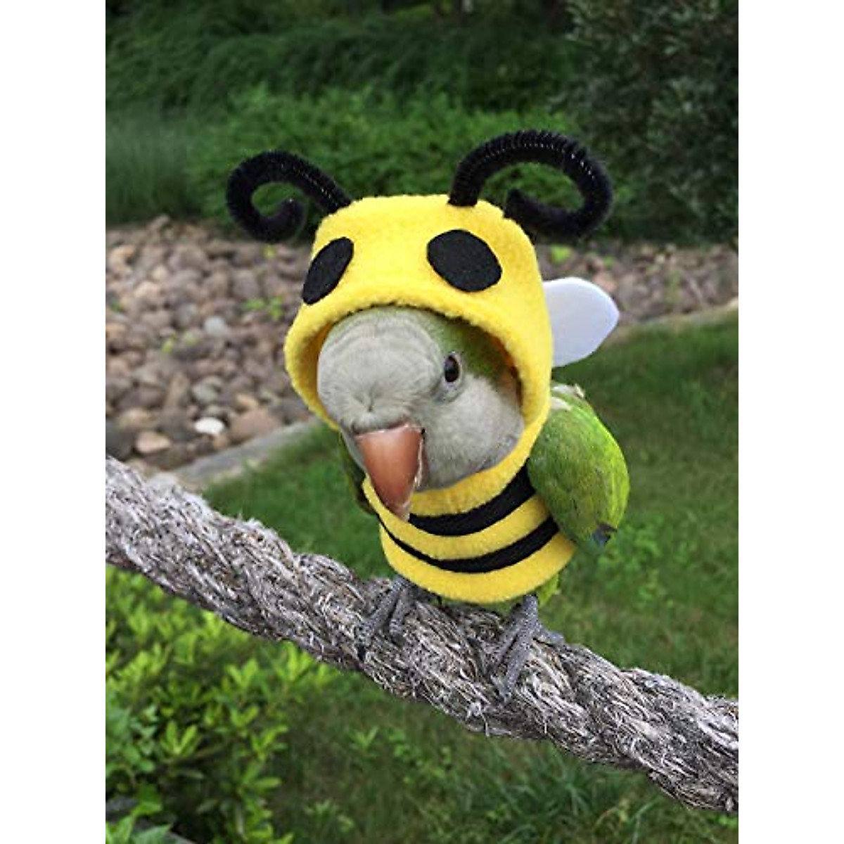 Parrot bird supplies, light flying clothes, warm and comfortable, tiger skin, green cheek parrot, little sun parrot, monk parrot, starling, mynah, Senegal parrot, mini macaw, Keck parrot, etc. (2M)