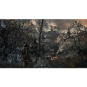 Bloodborne