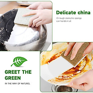 Rasket 10 Pack Biodegradable Natural Sponges Kitchen - Compostable Cellulose and Coconut Walnut Scrubber Sponge - Eco Friendly Sponges for Dishes