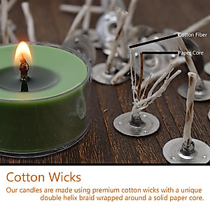 Maple Cinnamon Pumpkin Scented - 12 Pack - Scented Tealight Candles - Soy Beeswax Blend - Handmade in The USA - Candeo Candle - Fall Scents