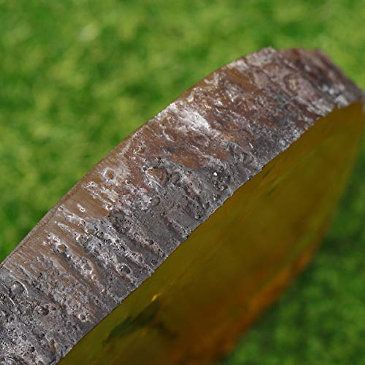 IMIKEYA Amber Fossil with Insects Samples Stones Crystal Specimens Home Decorations Collection Pendant Dragonfly