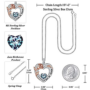 Iefil Anniversary Birthday Gifts for Women, Sterling Silver Birthstone Necklace Jewelry Mothers Day Christmas Gifts for Women Valentines Day Gifts for Her Daughter June Birthstone Alexandrite Jewelry